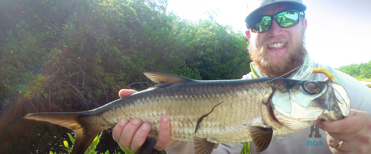 Cayman Light Tackle & Fly Fishing Tips, Season & Species | FISH BONES